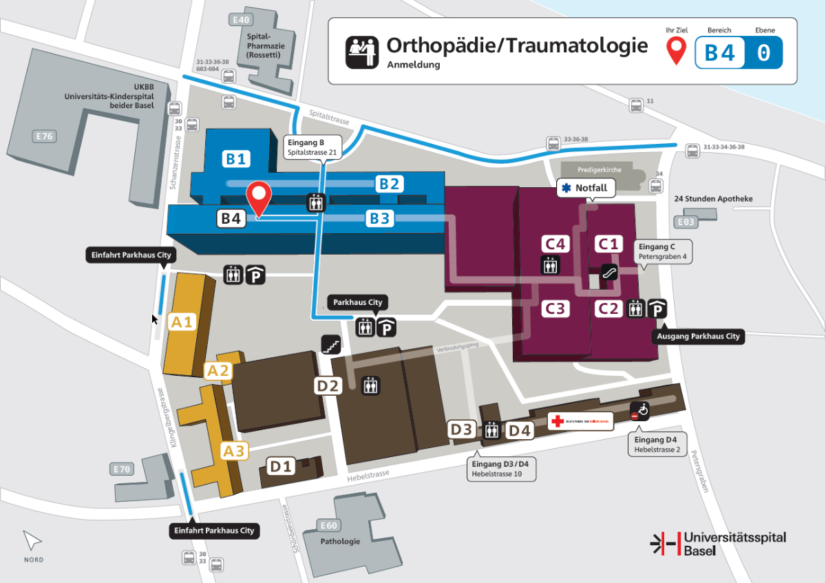 Orthopädie und Traumatologie